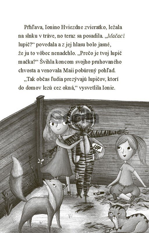 Kniha: Hviezdni priatelia: Magický štít (Linda Chapman) za 9,59€ | Gorila