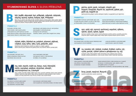 Vyjmenovaná slova a slova příbuzná - prečítaná (bazár kníh) (Martin ...