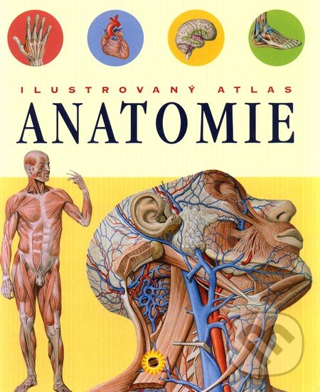 Ilustrovaný atlas anatomie | Knihy z Martinusu